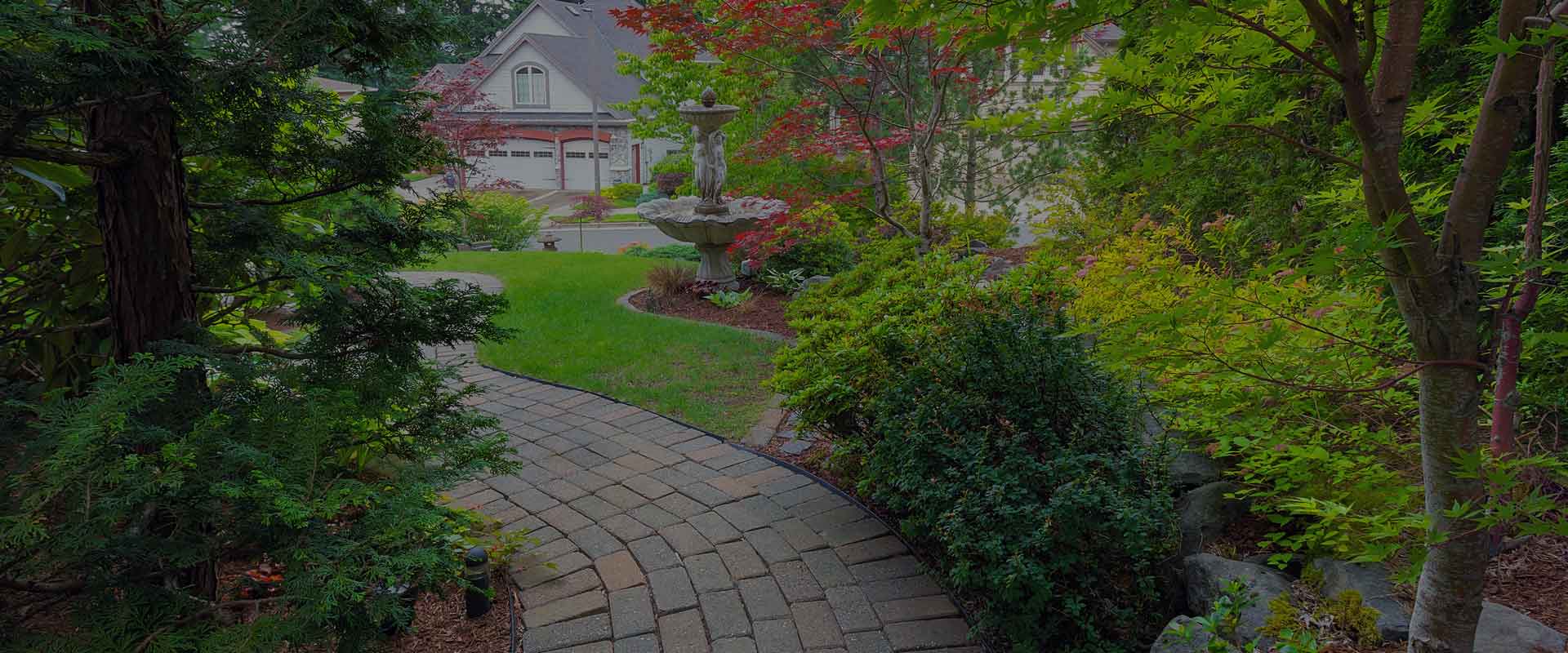 Tree Care & Planting Services, Tree Removal | DeClerk Tree Service Inc ...